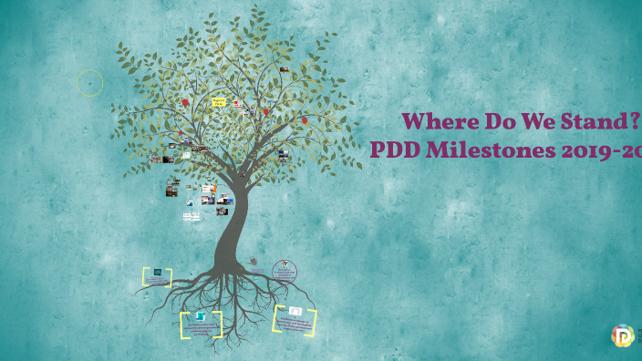 Where Do We Stand? by PDD . on Prezi