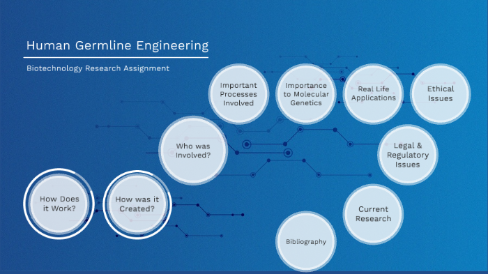 Human Germline Engineering by Venus Cheung on Prezi