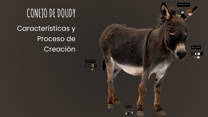 CONEJO DE DOUDY by Emmanuel Vela on Prezi