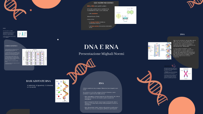 DNA e RNA by Noemi Mighali on Prezi