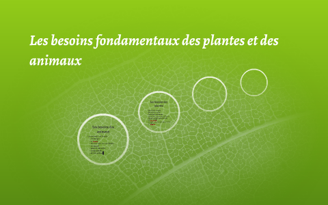 Les besoins fondamentaux des plantes et des animaux by Alexis Gallant ...