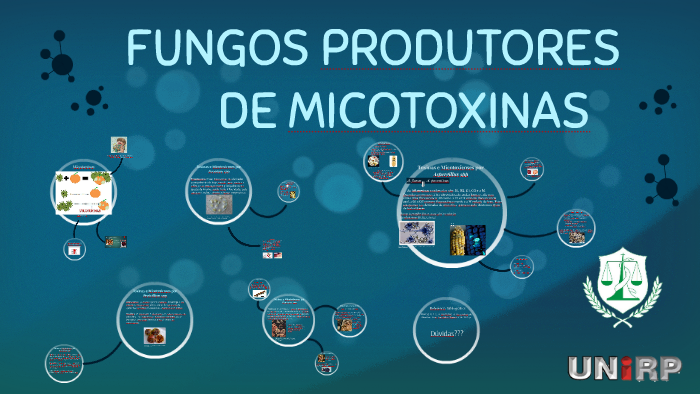 FUNGOS PRODUTORES DE MICOTOXINAS by Mariana Nechar on Prezi