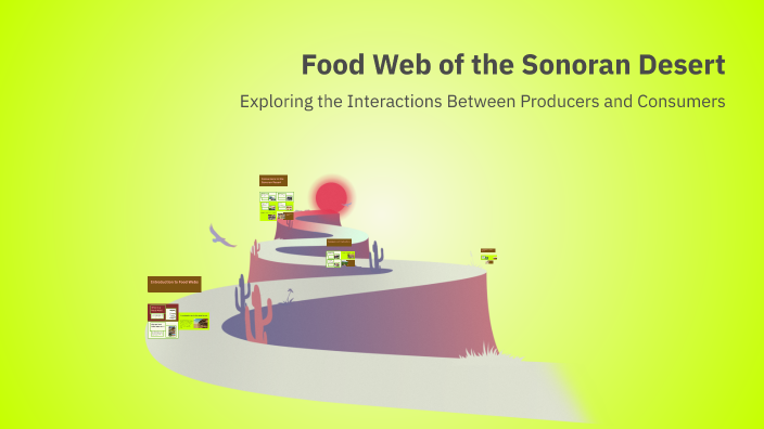 Food Web of the Sonoran Desert by Miguel Pleitez-Velasquez on Prezi