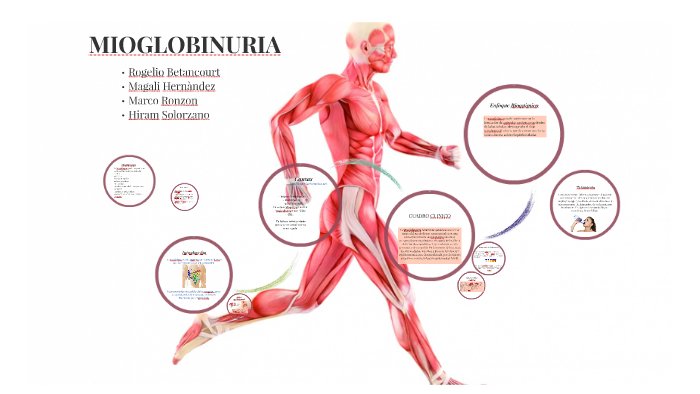 MIOGLOBINURIA by Sarahi Romero on Prezi