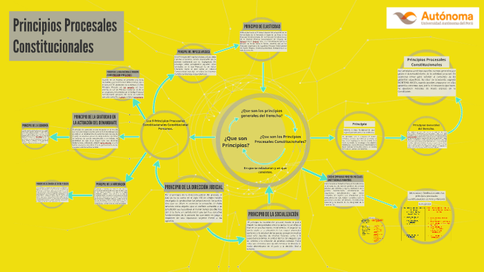 Principios Procesales Constitucionales by Israel Rios on Prezi