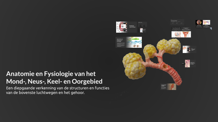 Anatomie en Fysiologie van het Mond-, Neus-, Keel- en Oorgebied by Iris ...