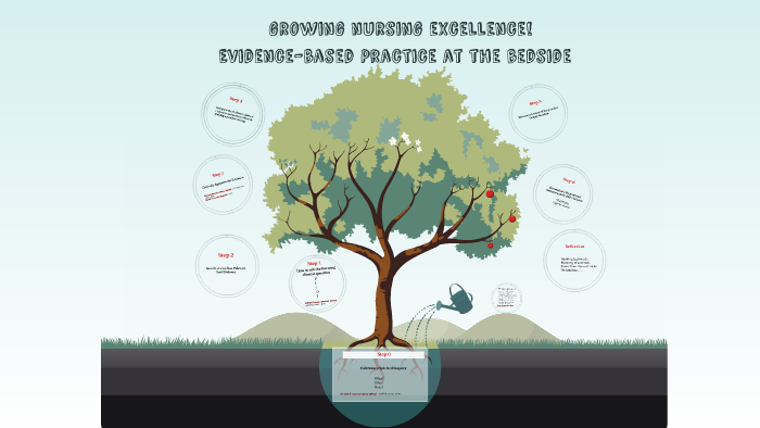 Evidence-Based Practice - The 7 Steps to High Quality Patient Outcomes ...