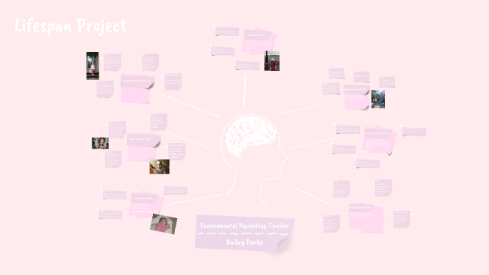 Developmental Psychology Timeline by Bailey Parks on Prezi