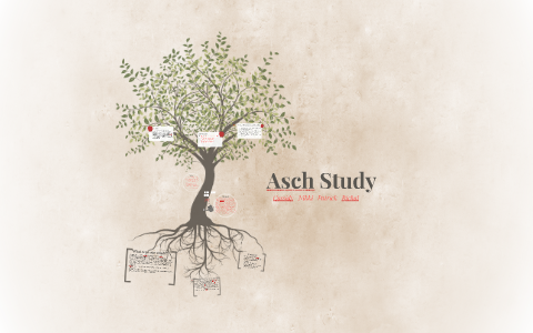 The Asch Study- Final by Cassidy Knudsen on Prezi
