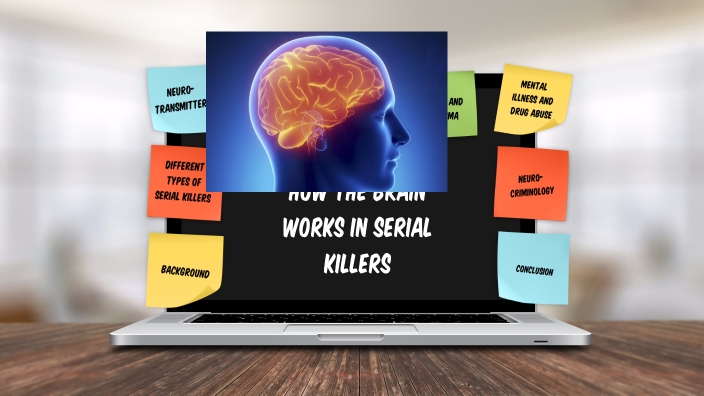 How the Brain Works in Serial Killers by SG Bertolini on Prezi