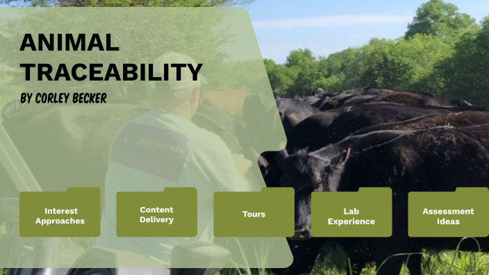 Animal Traceability by Corley Becker on Prezi