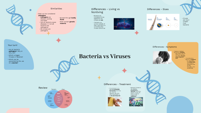 Bacteria vs Viruses by Alfy on Prezi