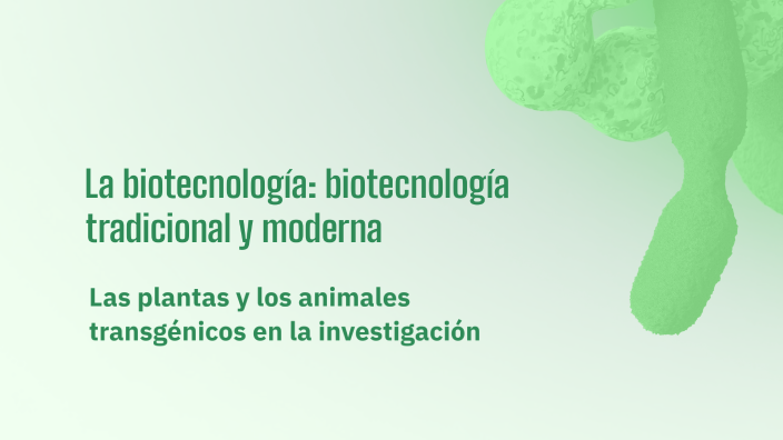La biotecnología: biotecnología tradicional y moderna by Mia Pinto on Prezi