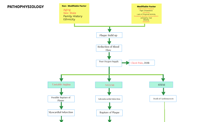 PATHOPHYSIOLOGY by Rivianne Villanueva on Prezi