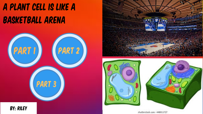 A cell is like a basketball arena by Riley Cooray on Prezi