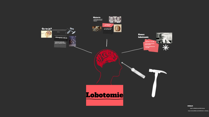 Lobotomie by Jan Koudelka on Prezi