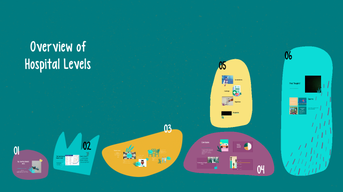 Hospital Levels. by Quinton Daniels on Prezi