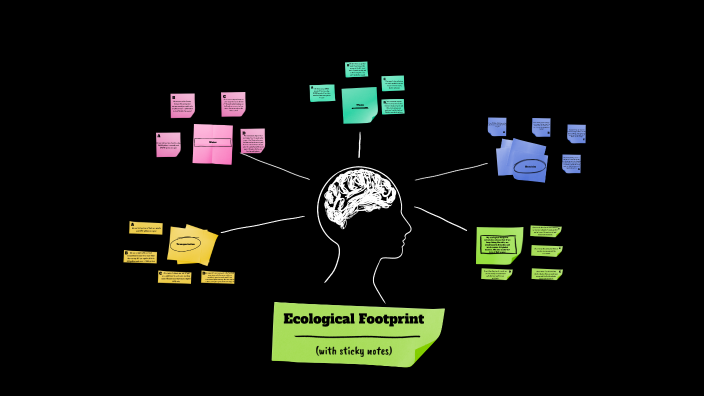 APES End Project by Matthew Lee on Prezi