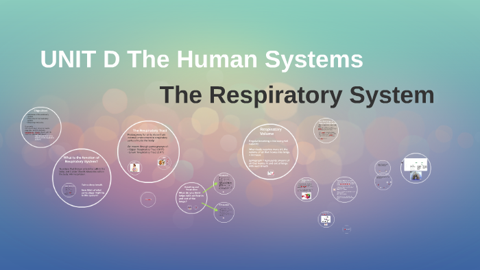 Unit D Respiratory System by pousali das