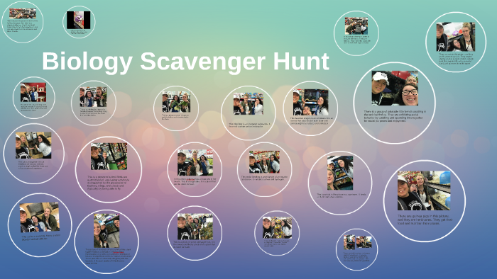 Biology Scavenger Hunt by Tiffany Topor on Prezi