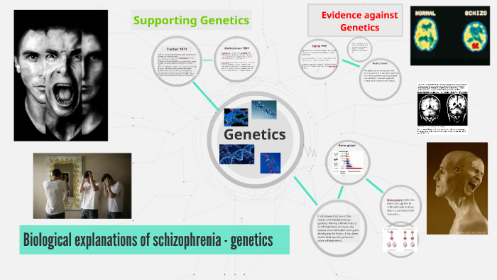 Biological explanations of schizophrenia - genetics by Ellie Hickey on ...