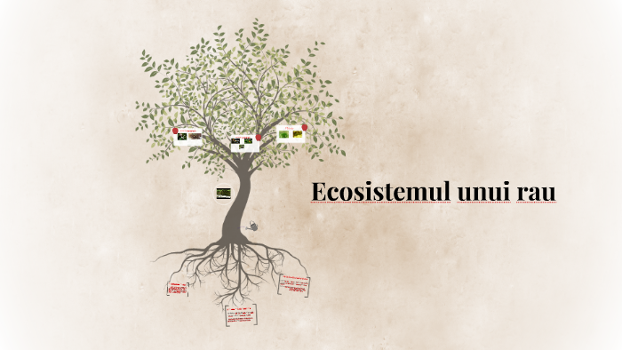Ecosistemul unui rau by Stefan Alexandru Mihai on Prezi
