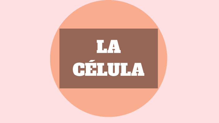 LA CÉLULA by Maylin Castillo durand on Prezi