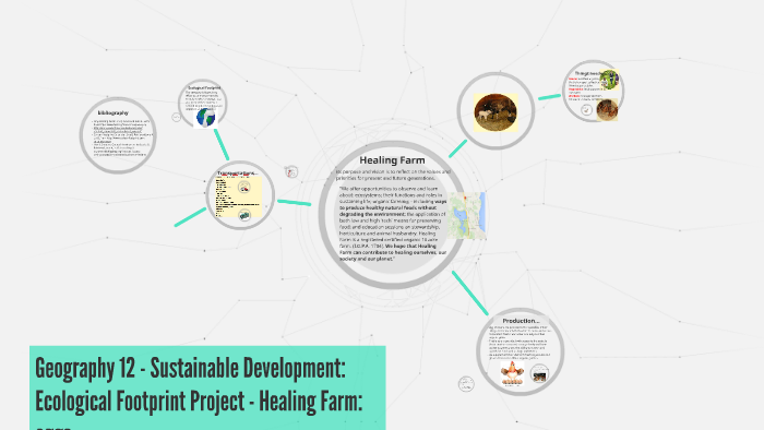 Geography 12 - Sustainable Development: Ecological Footprint by Tina ...
