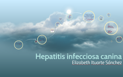 Hepatitis infecciosa canina by elizabeth ituarte on Prezi