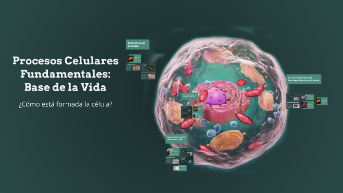 Procesos Celulares Fundamentales: Base de la Vida by Johan Diestra on Prezi
