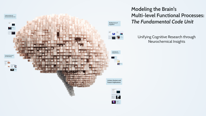 The Fundamental Code Unit (FCU): A Framework for Understanding Decision ...