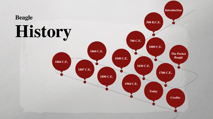 Beagle History TED Talk Presentation by Madden Hebdon on Prezi