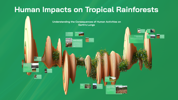 Human Impacts on Tropical Rainforests by Wilson Hayes on Prezi