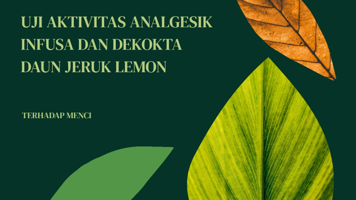 UJI AKTIVITAS ANALGESIK INFUSA DAN DEKOKTA DAUN JERUK LEMON by Yuni ...