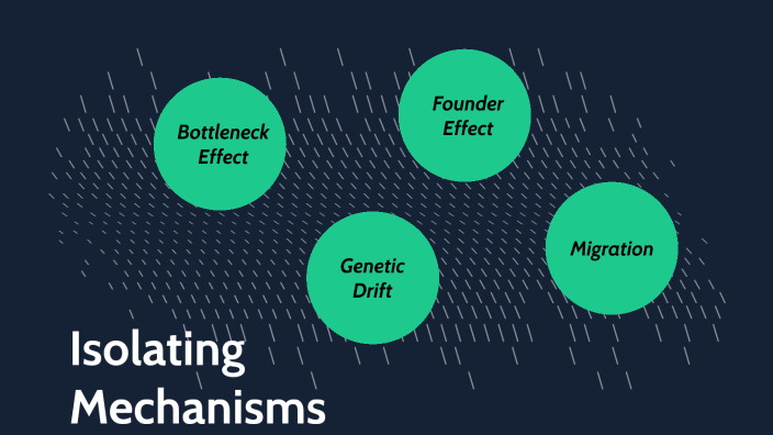 Isolating Mechanisms by Kaitlyn Gebhart on Prezi