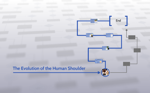The Evolution of the Human Shoulder by Elizabeth Hannifin on Prezi