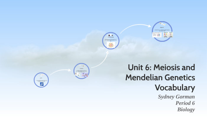 Unit 6: Meiosis and Mendelian Genetics by sydney gorman on Prezi