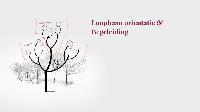 Loopbaan orientatie & Begeleiding by chelsea van jaarsveld on Prezi