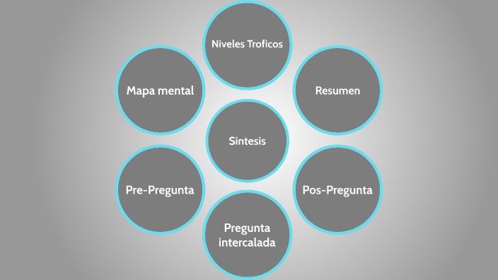 niveles troficos by José Beitia on Prezi