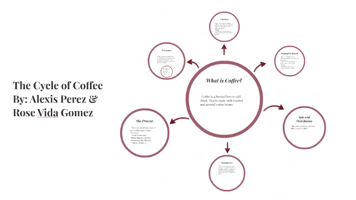 The Cycle of Coffee by alexis perez on Prezi
