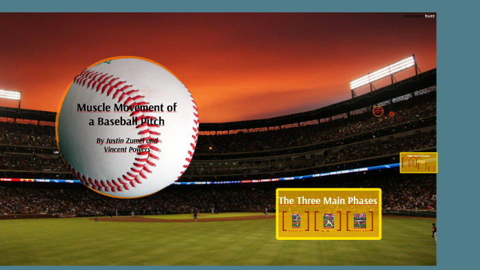 Muscle Movement Project - Baseball Pitch by Justin Zumel on Prezi