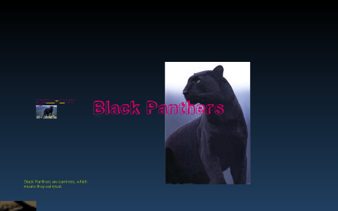 Black Panther by Libby Dirks on Prezi
