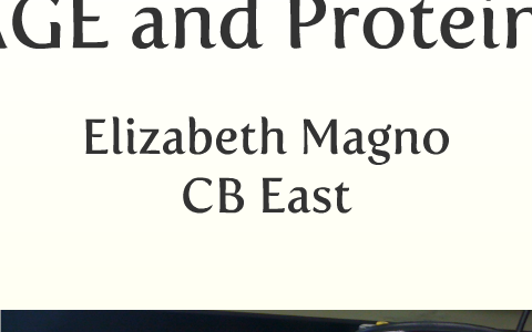 SDS-PAGE and Protein Analysis by Elizabeth Magno on Prezi