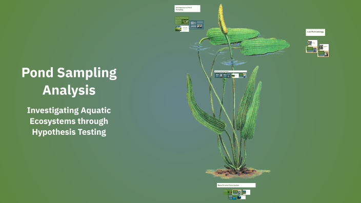 Pond Sampling Analysis by Tita Ba on Prezi