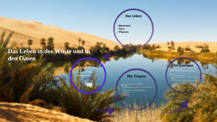 Wüste by Mert Coskun on Prezi