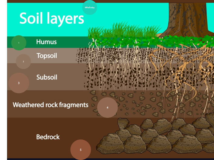3 Layers Of Soil Topsoil Subsoil Bedrock