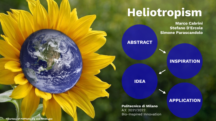 Heliotropism by Helio Tropism on Prezi
