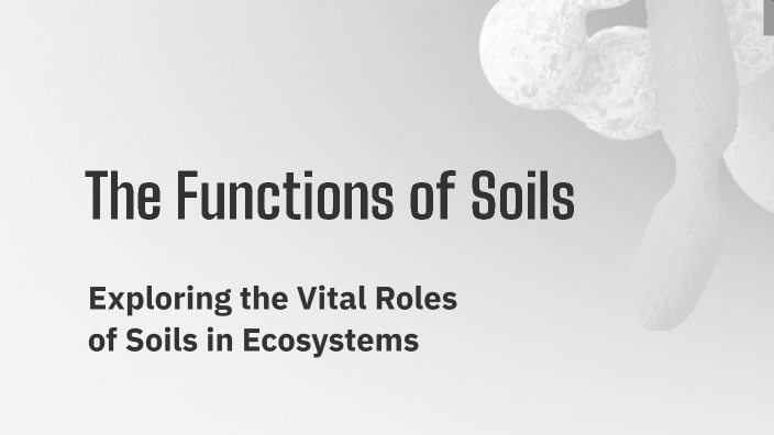 The Functions of Soils by Colab CoLab1 on Prezi