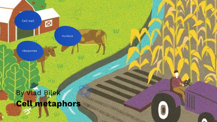 Cell metaphors by Vlad Bilek on Prezi