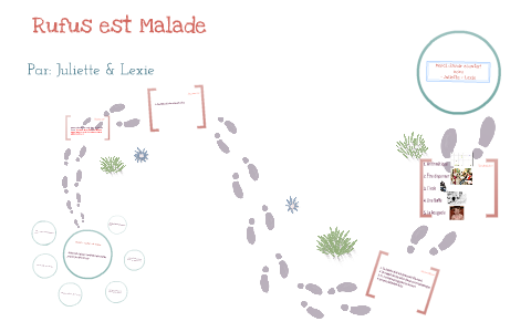 Rufus Est Malade Présentation by Lexie & Juliette Shah on Prezi